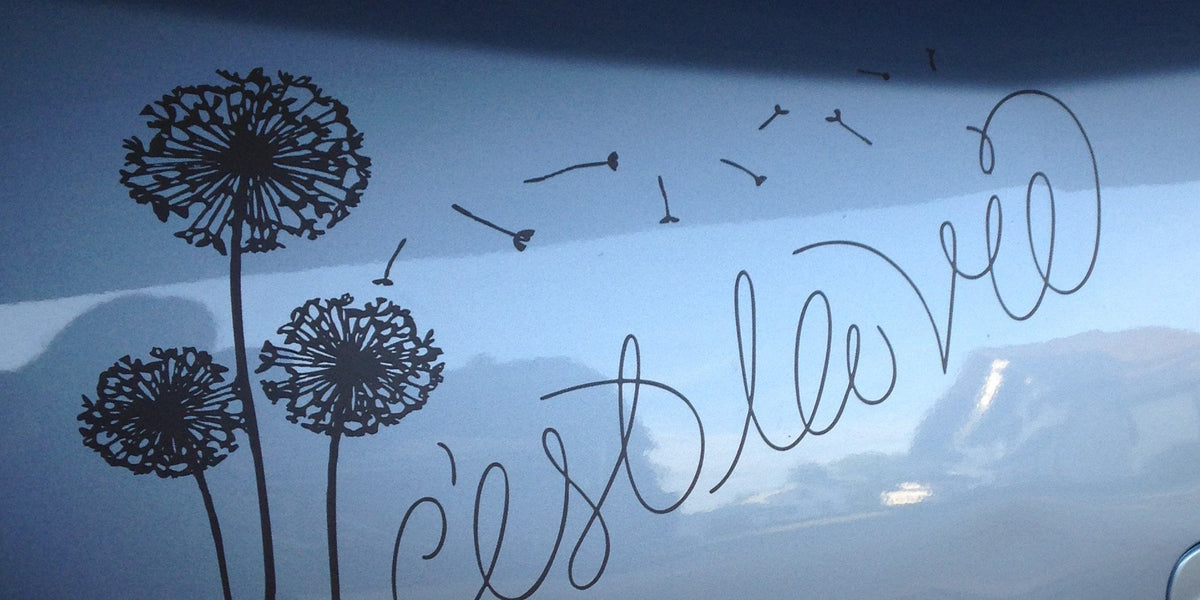 How to Make Custom DIY Car Decals — Craft-e-Corner